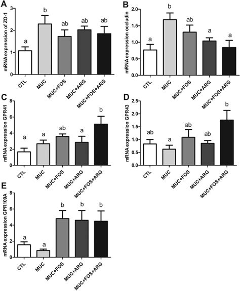 Tight Junction And G Protein Coupled Receptors Gpr Mrna Expression In