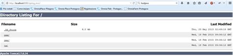 Spring Mvc Tomcat Not Find The Indexjsp When It Starting Stack