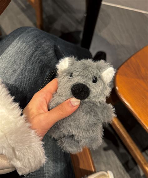 🚀당일발송 신상품🚀 코알라 에어팟 케이스 털 퍼 귀여운 인형 젤리 친구 생일 남자 여자 우정 커플 프로 1 2 2세대 3세대 2 털인형 실리콘 귀여운 선물 에이블리