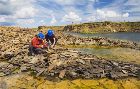 Fossils Hunters Have Their Say On Scottish Fossil Code Scottish Field