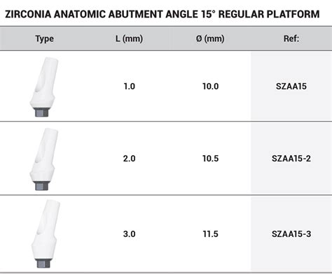 DSI Zirconia Abutment Discover Dental Products Solutions
