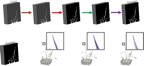 Figure 1 From Influence Of Vegetation Canopy Architecture On Dynamics