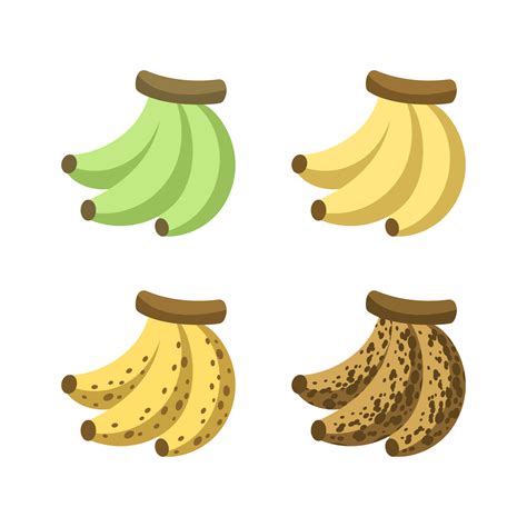 Ripening Stages Of Bananas Icon Set Banana Ripeness Color Unripe To Overripe Fruit Infographic