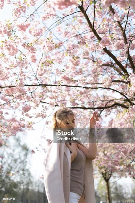 아름 다운 금발 젊은 여 자가 봄 벚꽃 공원에서 자연과 자유 시간을 즐기는 그녀의 여행 관광 자유 시간을 입고 흰색 바지와 T 셔츠 베이 지 색 재킷 건물 외관에 대한 스톡