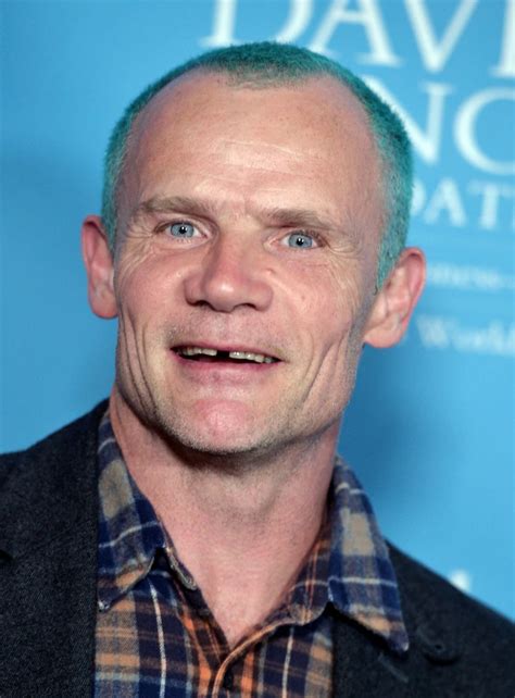 Flea Characters Media Wiki Fandom