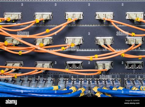 the network cables to connect the port of a switch to connect internet