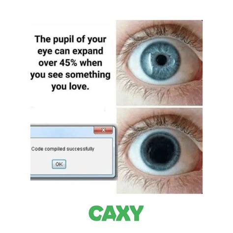 Caxy On Linkedin Codelife Cleancode Caxy Hiring