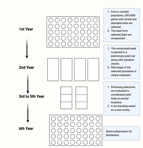 Mass Selection Method Procedure Applications Merits Demerits Biology Notes Online