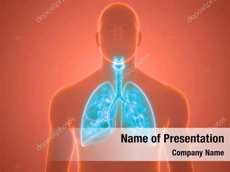 Respiratory Concept Human System Lungs Powerpoint Template Respiratory Concept Human System