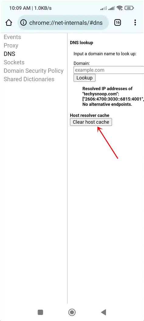 What Is The Ipconfig Displaydns Command And How To Use It On Android