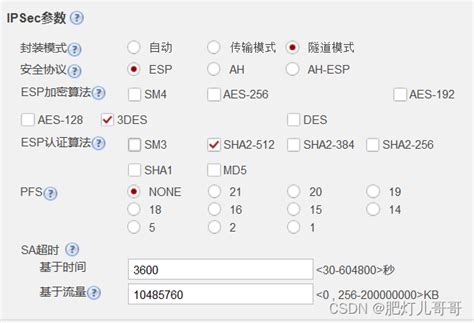 华为防火墙建立ipsec Vpn和nat穿越问题（大学生易读版）华为nat T Csdn博客