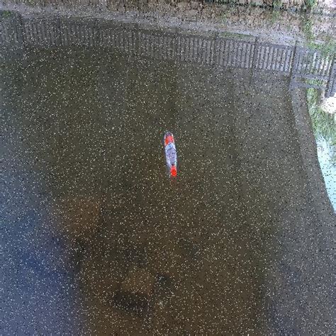 Floating Object Detection Model V2 2023 06 22 512pm By Floating