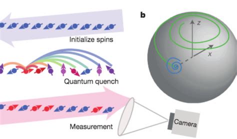 Largest Quantum Simulations Using 53 Qubit Trapped Ions And Freedoms Phoenix