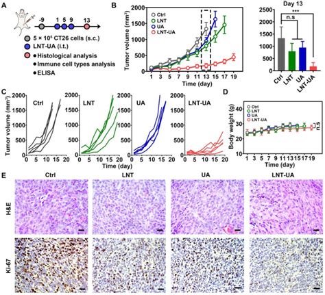 Self Assembled Traditional Chinese Nanomedicine Modulating Tumor Immunosuppressive