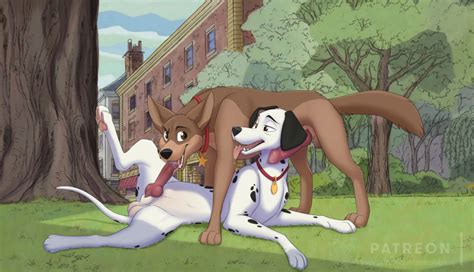Rule 34 101 Dalmatians Animal Genitalia Animal Penis Balls Brown Body