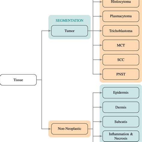 Classification Confusion Matrix Patch Based The Numbers On The Left Download Scientific