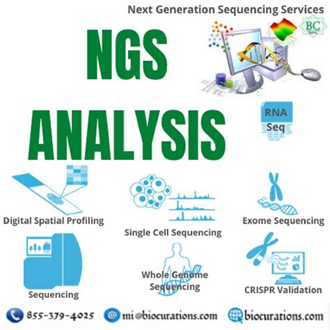 Next Generation Sequencing Analysis Service In Moranhat Id 25190060197