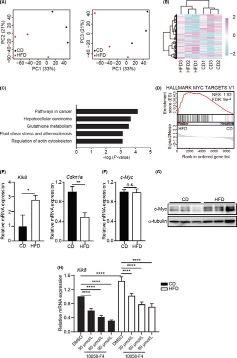High‐fat Diet Hfd Induces Altered Expression Of The C‐myc Target