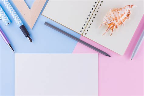 학교 개념으로 돌아갑니다 분홍색 파란색 배경에 학교 문구와 조개 파스텔 배경에 펜 연필과 곤 맨 위 보기 복사 공간 개념에 대한 스톡 사진 및 기타 이미지 Istock