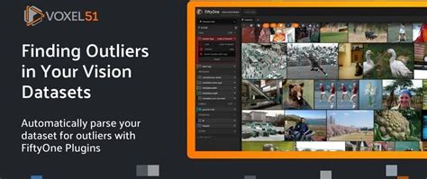 Finding Outliers In Your Vision Datasets Dev Community