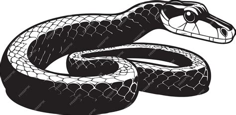 Pythons Enigma A Stunning Artistic Representation Of Constrictors Unique Features And Camouflage