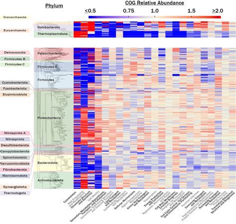 Bioinformatic Meta Analyses Steen Lab