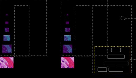 Multi Scale Feature Extraction Structure Diagram Of Backbone Network Download Scientific
