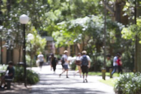 Feedback University Of Wollongong Uow