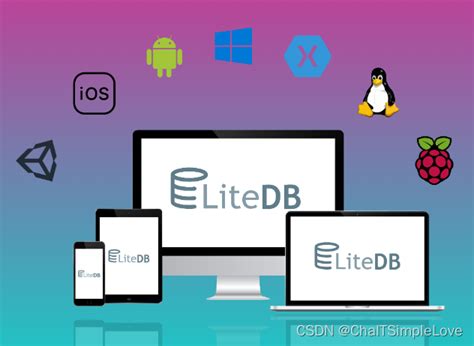 谈谈 Net8 平台中对 Litedb 的 Crud 操作dbcrudlitedb Csdn博客