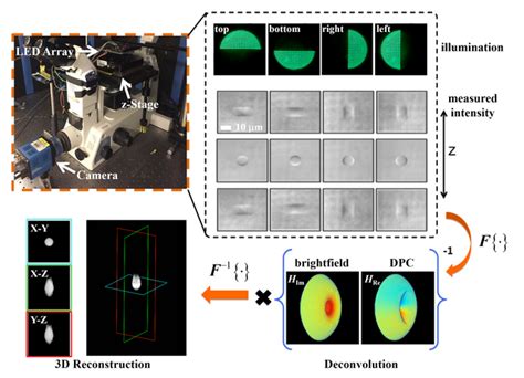 Computational Phase Microscopy Tian Lab