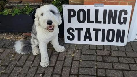 【イギリス総選挙2024】スターマー党首が勝利演説、「変化が今から始まる」 Bbcニュース