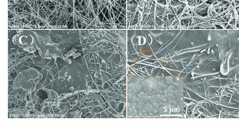 The Surface Morphology Of The Membranes A Glass Fiber Microporous