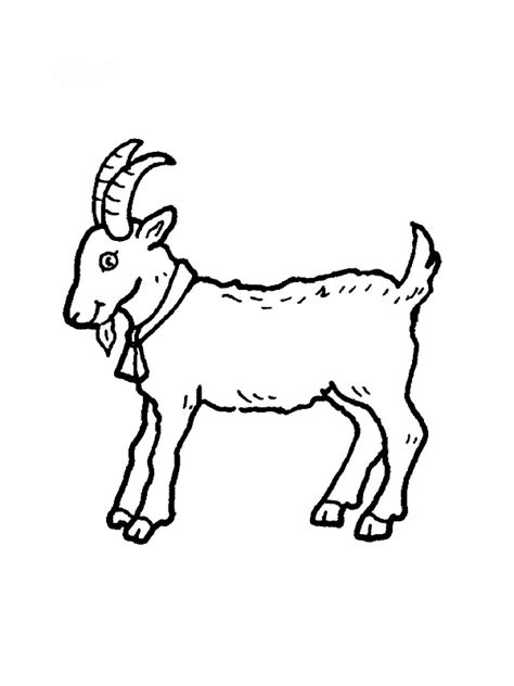 Dessins De Coloriage Ch Vre Imprimer