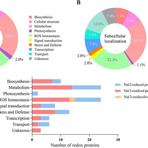 Functional Classification And Subcellular Localization Of The