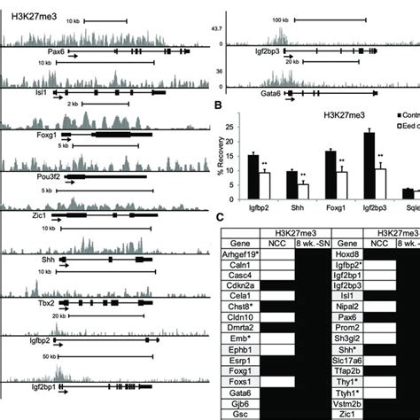 Identification Of H3k27me3 Bound Genes A Chip Seq Analysis Was