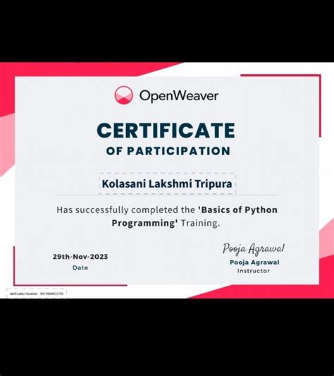 successfully completed the basics of python programming kolasani