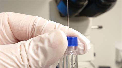 A Promising Vaginal Lube Contraceptive Works By Engineering Mucus