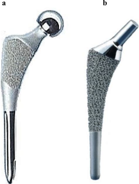 Types Of Femoral Stem Design At Delbert Sanders Blog