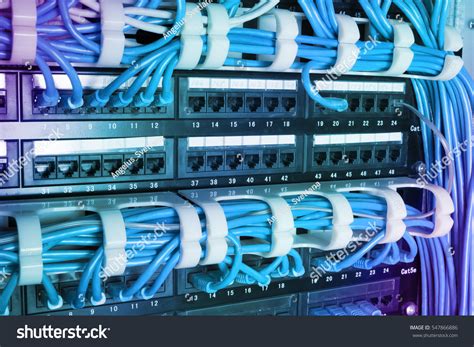 Network Switch Blue Ethernet Cables Server Stock Photo 547866886 Shutterstock
