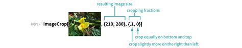 Crop 2D ImagesWolfram Documentation