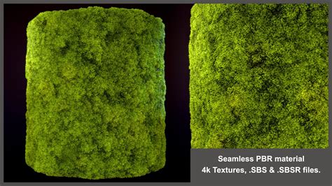 Seamless Pbr Moss Substance Material Textures 3d Model Turbosquid 2356275