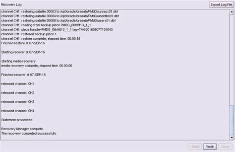 Backing Up Oracle With Nmda Data Protection Hub