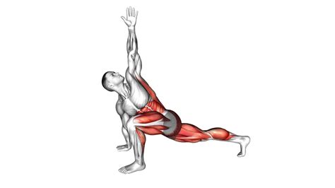 Mastering Plank Exercises For Beginners A Step By Step Guide To Strengthen Your Core Workout Guru