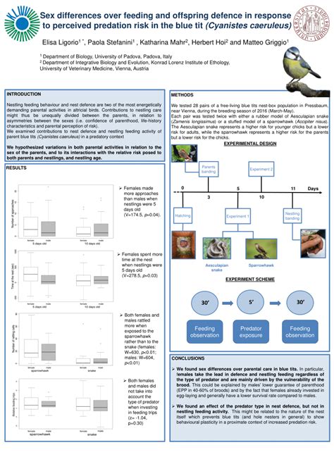Pdf Sex Differences Over Feeding And Offspring Defence In Response To Perceived Predation Risk