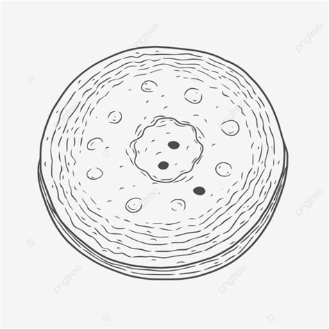 구멍 개요 스케치 드로잉이 있는 팬케이크의 손으로 그린 벡터 이미지 비스킷 그리기 비스킷 개요 비스킷 스케치 Png