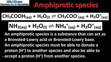 Amino Acid Amphiprotic Examples At Jeffrey Bost Blog
