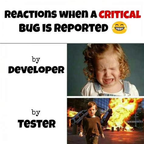 Developer Vs Tester Development Memes Tester