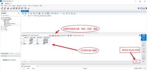 MySQL Workbench创建表格以及插入数据 mysql新版新增表格数据在哪 CSDN博客