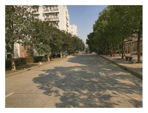 Comparison On A Slightly Underexposed Image A Input B Clahe 6