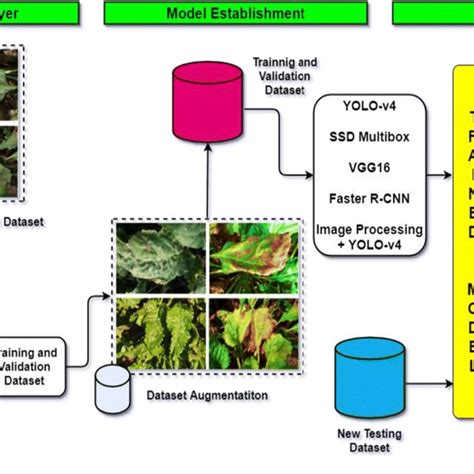 Flow Of Msf Faster R Cnn Recognition Algorith Download Scientific Diagram